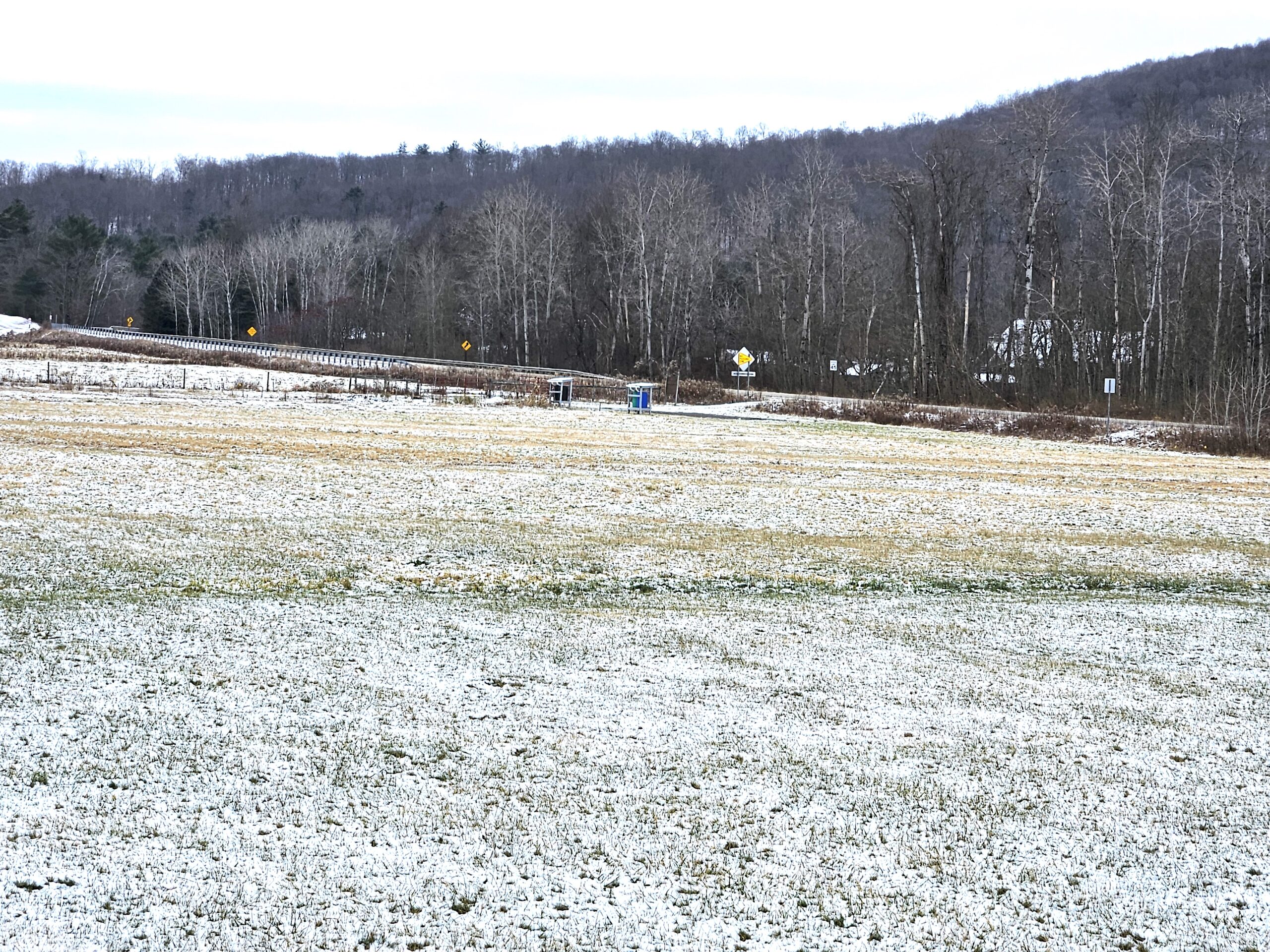 Nature knows best: Grant program aims to convert space to native state ...